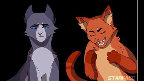 Warrior Cat Memes Funny Youtube