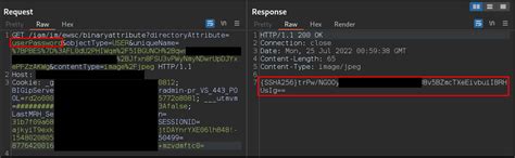 Zero Days In Common Identity Manager System Cybercx