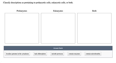Solved Classify Descriptions As Pertaining To Prokaryotic Chegg