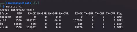 How To List Network Interfaces In Linux
