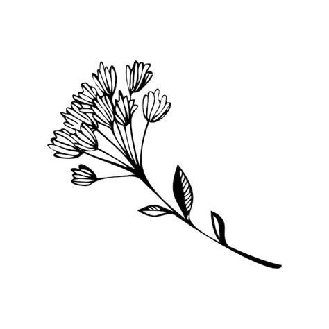 Premium Vector Botanical Graphics Twig With Flowers Decor Vector