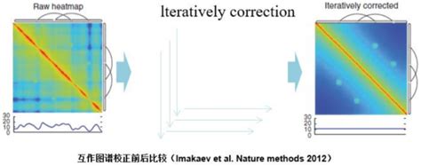 三维基因组技术三Hi C 数据比对及HiC Pro的使用 Public Library of Bioinformatics