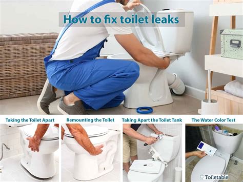 Toilet Leaking At Floor Level At Kellie Jackson Blog
