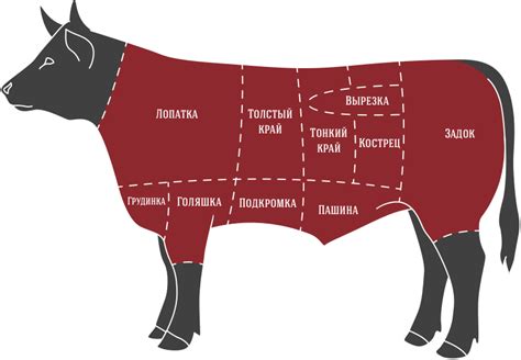 Který Steak Je Nejchutnější šťavnatější A Nejjemnější