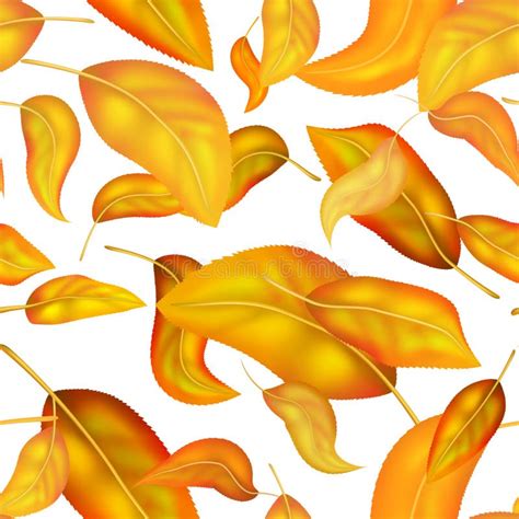 Autumn Vector Seamless Background Stock Vector Illustration Of Botany