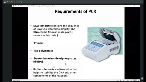Polymerase Chain Reaction Pcr Youtube