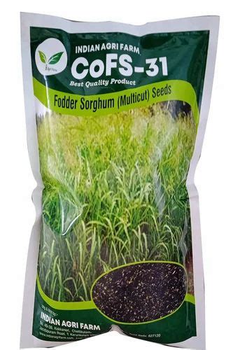 Dried Cofs31 Fodder Sorghum Seeds For Fodder Cultivation Packaging
