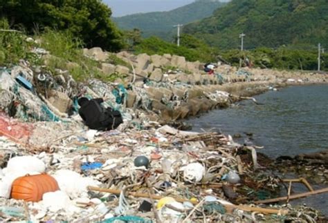 海洋プラスチックごみ Ecojin（エコジン）：環境省