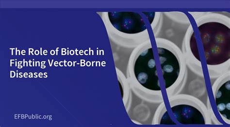 The Role Of Biotech In Fighting Vector Borne Diseases