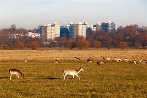 Canon Emea On Linkedin Tinyforests Wildcities Tinyforest