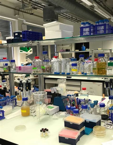 The Lab Control Theory And Systems Biology Laboratory ETH Zurich