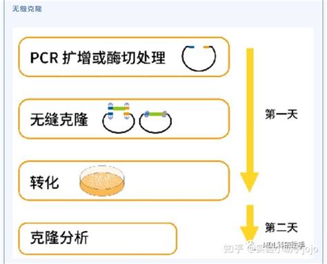 实验干货 分子克隆实验——无缝克隆 知乎