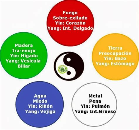 Los 5 Elementos Qué Son Teoría Símbolos Tabla Y Más