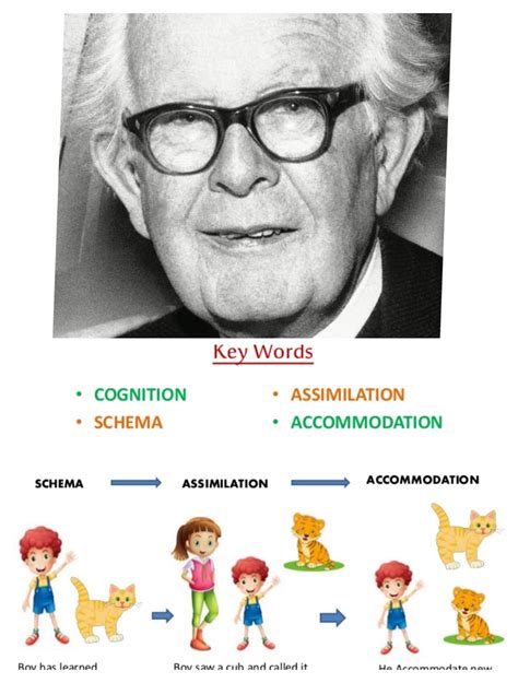 Schema Assimilation Accommodation