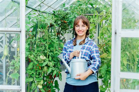 비닐하우스에서 토마토에 물을 준 후 물뿌리개를 들고 웃고 있는 젊은 여성의 초상화 정원에서 유기농 채소 재배 도시 농업 생활 방식 식량 자급 자족의 개념 물 주기에 대한