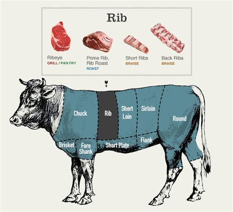 Hanger Steak Diagram