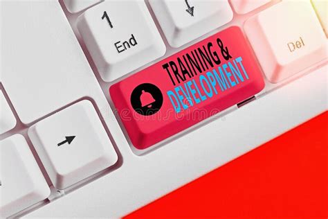 Word Writing Text Training And Development Business Concept For Learn Specific Knowledge To