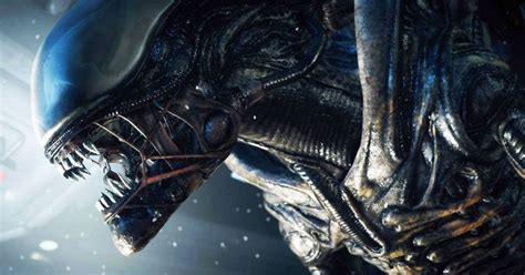The Enemy Novo Jogo De Alien Será Desenvolvido Pela Foxnext E Cold