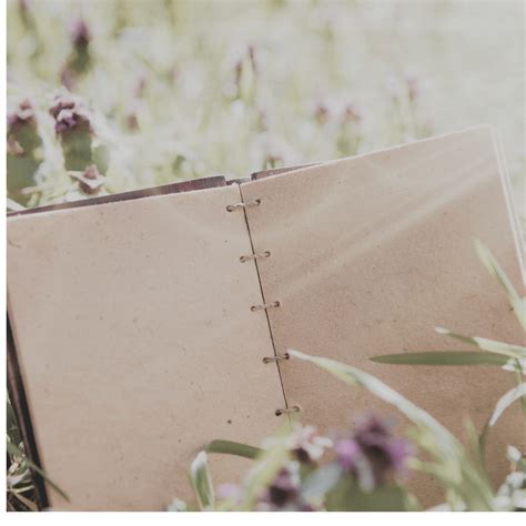 Wildflower School Of Botanical Medicine Store