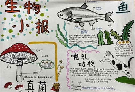 生物手抄报初一上册 生物手抄报初一上册内容 色粉画