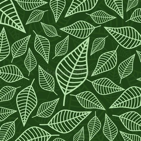 Leaf Pattern Stock Vector Illustration Of Curve Shape
