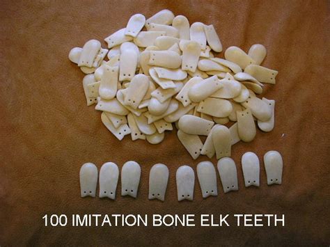Bone Elk Teeth Pre Drilled Ready For By Rainbownativetraders