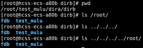 【linux】基本指令详解一 树状文件结构、家目录、绝对相对路径、linux文件类型 Csdn博客