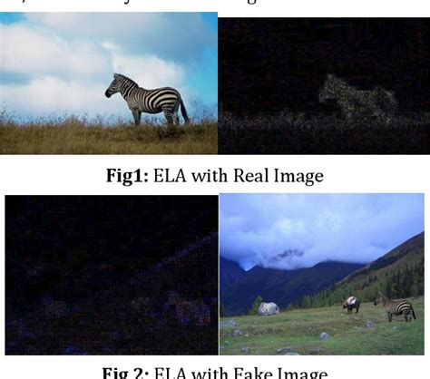 Figure 2 From Detection Of Real And Fake Image Using Deep Learning Algorithm Semantic Scholar