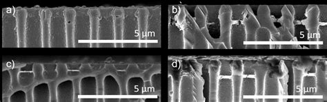 Fesem Imaging Of Porous Silicon Support Cross Sections With Three