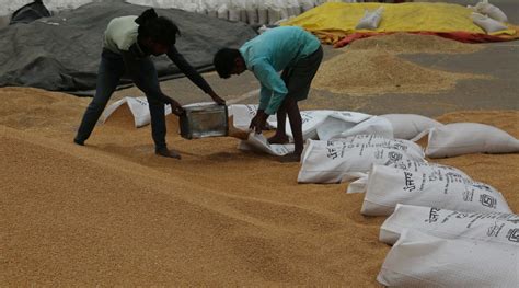 6000 People Vaccinated In Punjab Mandis Amid Wheat Procurement