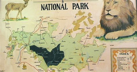 Gujarat Bird Watchers Paradise Guide For Sasan Gir In Gujarat Only Abode For Asiatic Lions