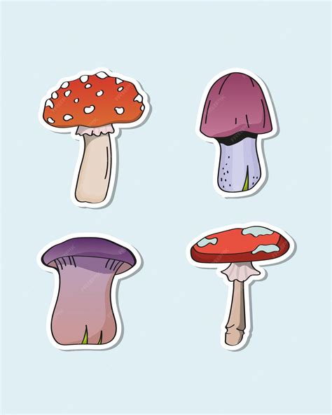 Premium Vector Mushroom Collection