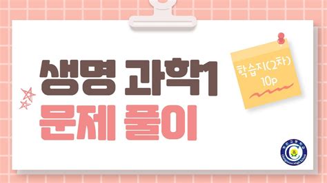 고2 생명과학Ⅰ 4 3 사람의 유전 문제 풀이 2 Youtube
