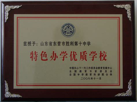 学校荣誉东营市胜利第十中学
