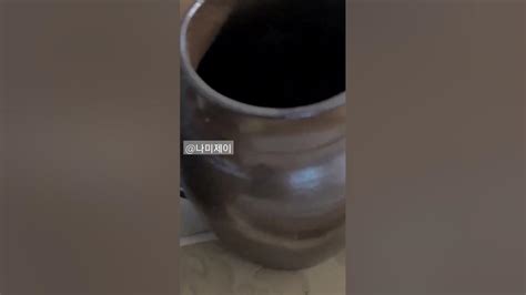 독특한 특이한머그 옹기주전자 항아리머그 Shorts Youtube