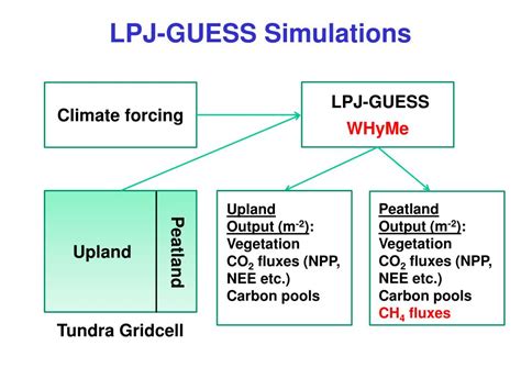 Ppt The Tundra Carbon Balance Some Recent Results With Lpj Guess