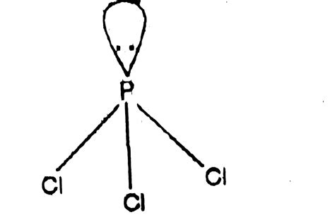 The Species Which Has Pyramidal Shape Is