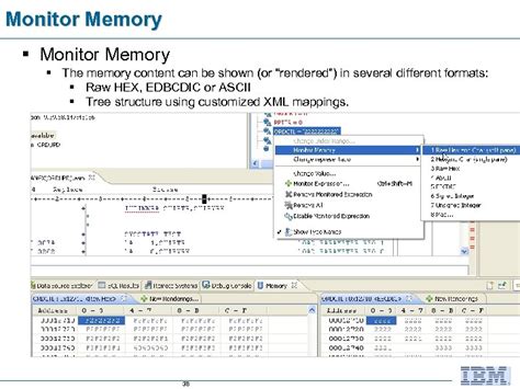 Ibm Software Group Rdz Workbench Debugging