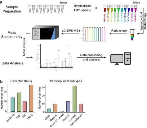 Experimental Overview A Mass Spectrometry Workflow Cell Pellets Were