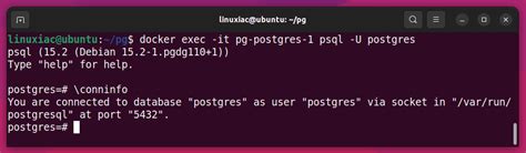 How To Run PostgreSQL With Docker A Step By Step Guide