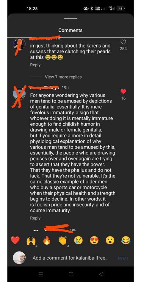 Context Insta Video Shows A Pilot Drawing A Dick Figure In The Sky And
