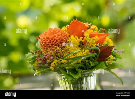 Colorful Flower Bouquet In Nature Background Stock Photo Alamy