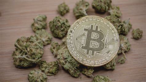Buying Weed Online With Bitcoin Gourmet Grass Canada