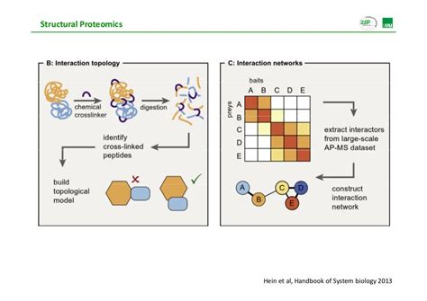 Proteomics Analysis Basics And Applications
