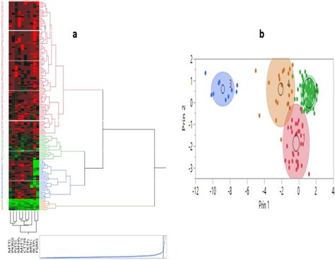 Cluster Analysis A And Principal Component Analysis Pca B Of 185