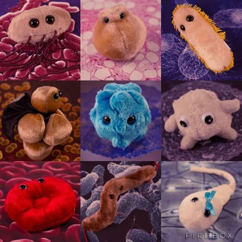 These Giant Microbes Giant Microbes Cute Stuffed Animals Toys