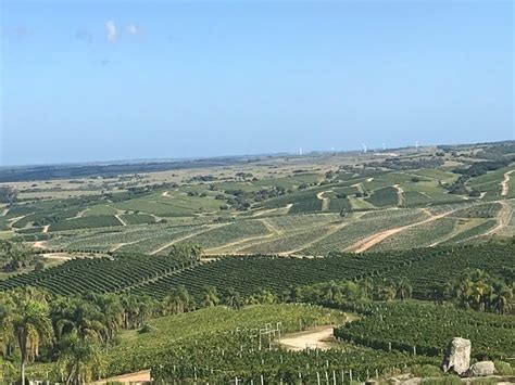 Bodega Garzon All You Need To Know Before You Go With Photos Garzon Uruguay