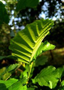 Sensuality Photography Digital Art AI