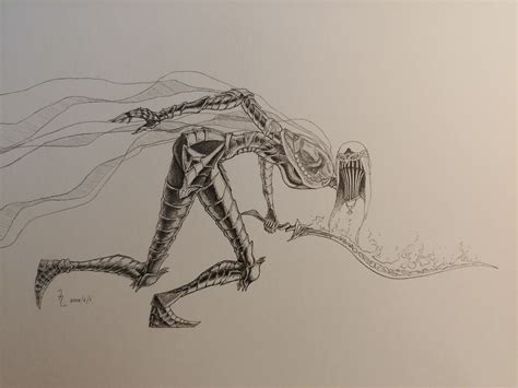 Dancer Of The Boreal Valleydancerboreal Dancer Of The Boreal