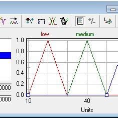Input Fuzzy Variable Definition For I1 Age Download Scientific Diagram